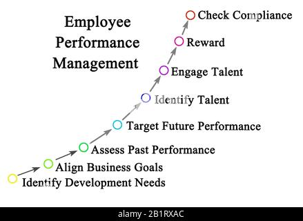 Components of Employee Performance Management Stock Photo - Alamy