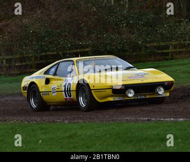 Tony Worswick, Ferrari 308 GTB, Forest Rally Stage, Goodwood Festival ...