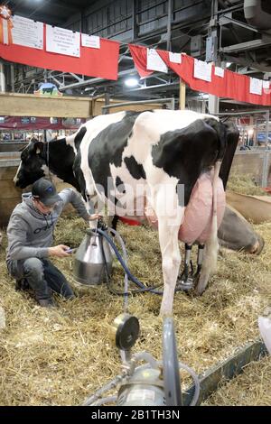 Royal Winter Fair in Toronto Stock Photo - Alamy