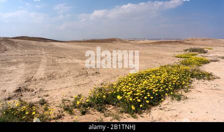 Hiking in spring desert health and ecology tourism Stock Photo - Alamy