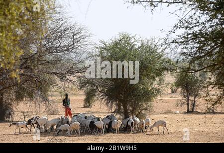 Niger, West Africa. Dry Season in the Sahel. Compare to Rainy Season in ...
