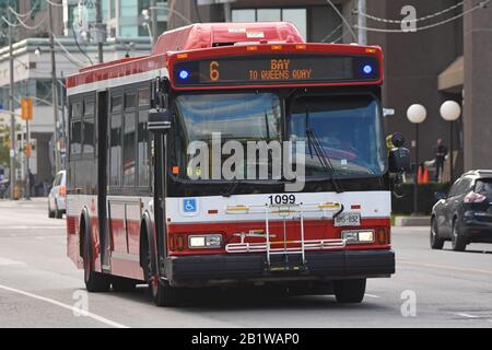 TTC Toronto Transit Commission Day Pass. Isolated on white background ...