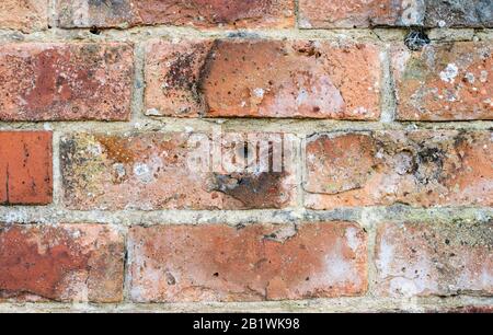 Old WW2 firing range wall with bullet holes and damage Stock Photo - Alamy