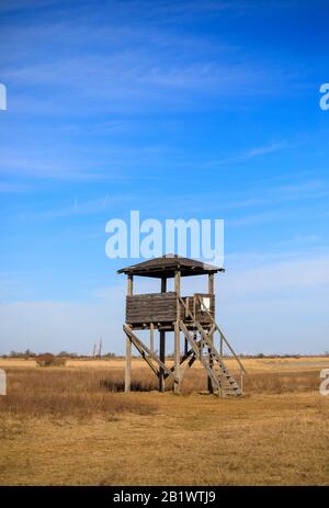 Bird blind birding observation tower in public park Stock Photo - Alamy