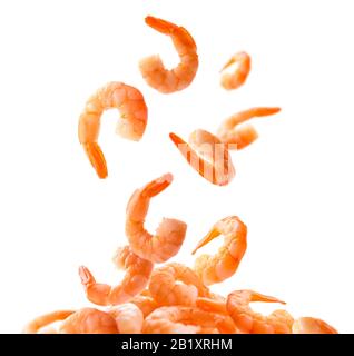 Boiled prawns levitate on a white background Stock Photo - Alamy