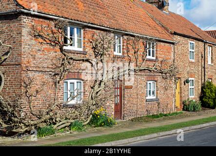 The village of Wheldrake, East Yorkshire, England UK Stock Photo - Alamy