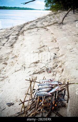 Landscape, Negro River, Iranduba, Amazonas, Brazil Stock Photo - Alamy