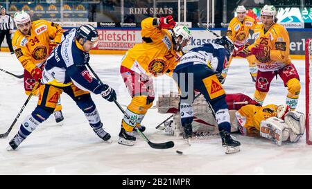 Sven Leuenberger #61 (EV Zug) and Alessandro Segafredo #17 (ZSC Lions ...