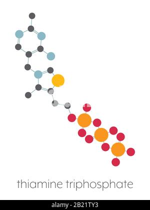 Vitamin B1, thiamine. Icon, chemical formula, molecular structure on ...