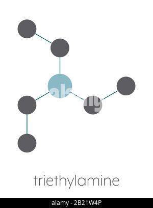 Triethylamine organic base molecule, illustration Stock Photo - Alamy