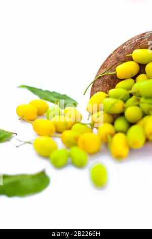 Nimbodi or nimbudi or neem fruit in a glass bowl isolated on white also ...