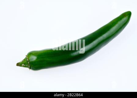 Grüne Chilischote, Studioaufnahme Stock Photo - Alamy