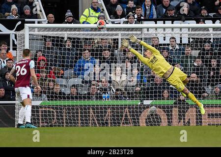 Nick Pope Of Newcastle United goes down injured during the Newcastle ...