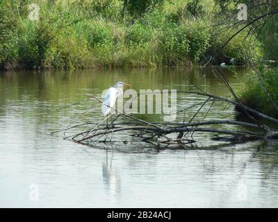 Great Plains Nature Center, Wichita, Kansas Stock Photo - Alamy