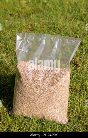 Sowing grass, setting up a lawn. Foil packaging with grass seeds Stock ...