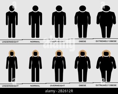 Comparison of healthy male and female body composition. Human body ...