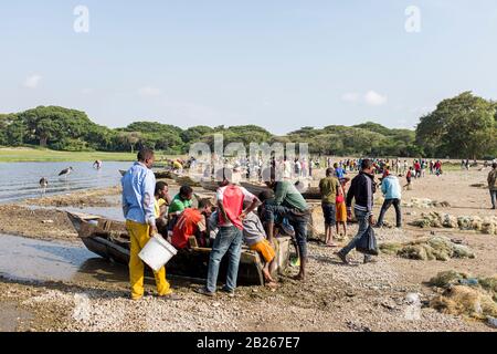 Hawassa Fish Market - with fisherman selling their catch from Lake ...