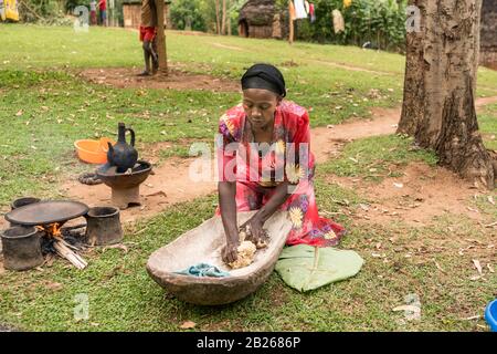 Making of false banana bread-kocho - from the enset plant in a village ...