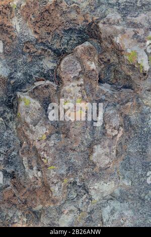 Matsieng Royal Village, Lesotho Stock Photo - Alamy