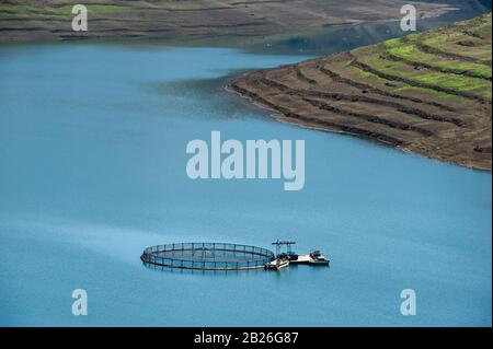 Trout farm in Katse Dam, Lesotho Stock Photo - Alamy