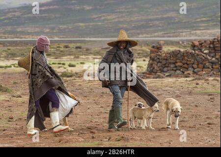 Shepherds with dogs, Basotho village, Sani Top, Lesotho Stock Photo - Alamy