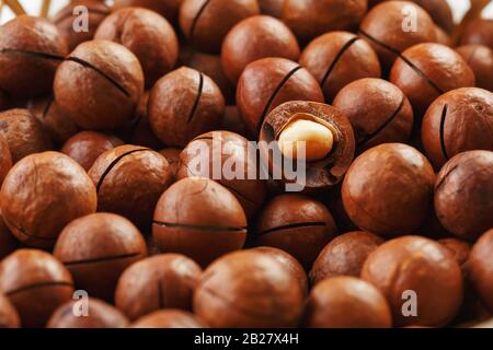 Macadamia nut one whole sawn isolated on a white background with clipping path. Full depth of ...