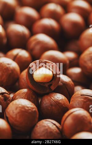 Macadamia nut one whole sawn isolated on a white background with clipping path. Full depth of ...