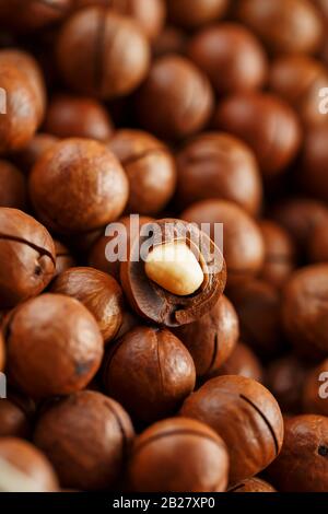 Macadamia nut one whole sawn isolated on a white background with ...