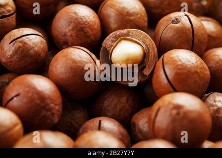 Macadamia nut one whole sawn isolated on a white background with clipping path. Full depth of ...