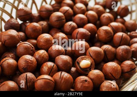 Macadamia nut one whole sawn isolated on a white background with ...