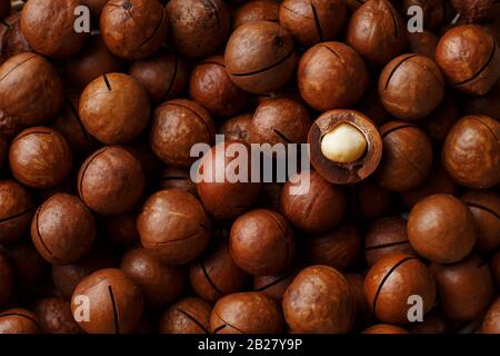 Macadamia nut one whole sawn isolated on a white background with clipping path. Full depth of ...