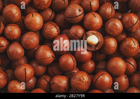 Macadamia nut one whole sawn isolated on a white background with ...