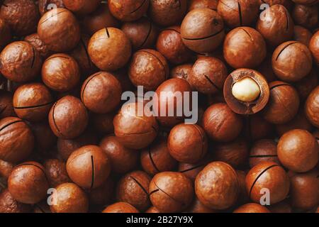 Macadamia nut one whole sawn isolated on a white background with ...
