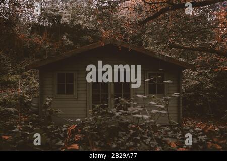 Creepy cabin, Abandoned dwelling, Isolated cabin, Eerie atmosphere ...