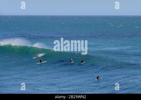Santa Cruz, CA, USA. 1st Mar, 2020. Summer arrives early in California ...
