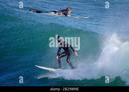 Santa Cruz, CA, USA. 1st Mar, 2020. Summer arrives early in California ...
