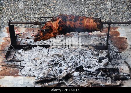 Spit Roast Suckling Pig Stock Photo - Alamy