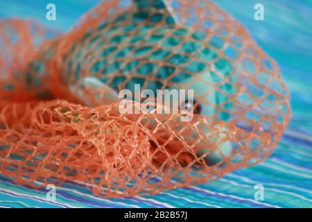 Plush fish trapped in orange net Stock Photo - Alamy