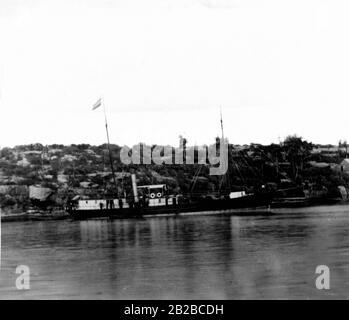 German colony in the South Seas, coconut palm with ripe fruits on Samoa ...