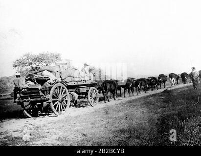 world war i, German soldiers, supply depot, ww1, wwi, world war one ...