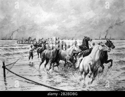 Drawing of the reinforcement Stock Photo - Alamy
