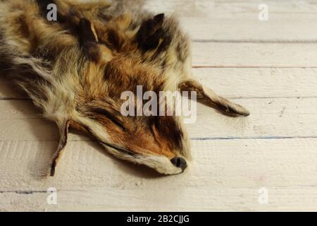 The picture a piece of a fox fur Stock Photo - Alamy