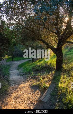 The view from Point Richmond, CA, is a beautiful one Stock Photo - Alamy