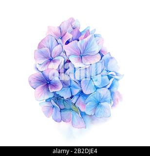Blue violet bouquet floral botanical flowers. Watercolor background ...