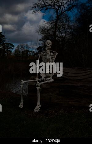 Skeleton human sitting on the wooden bench in park. Halloween Stock ...