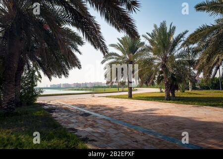 Pathway among Trees Stock Photo - Alamy