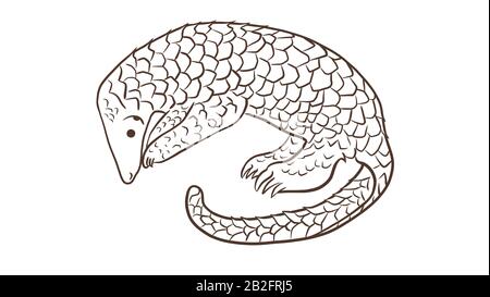 Pangolin or scaly anteater, a scales covered mammal from tropical areas ...