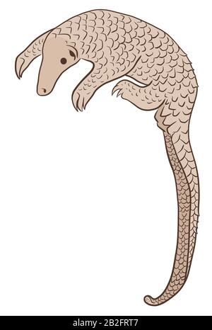 Pangolin or scaly anteater, a scales covered mammal from tropical areas ...