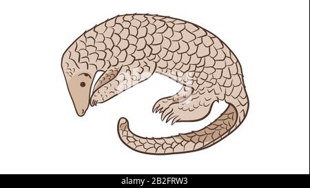 Pangolin or scaly anteater, a scales covered mammal from tropical areas ...
