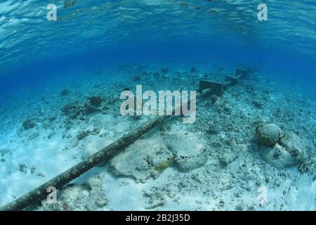 underwater sewer pipe in coral reef Stock Photo - Alamy